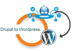 Simple Technical Guide For Developers Converting From Drupal to WordPress | HireWPGeeks